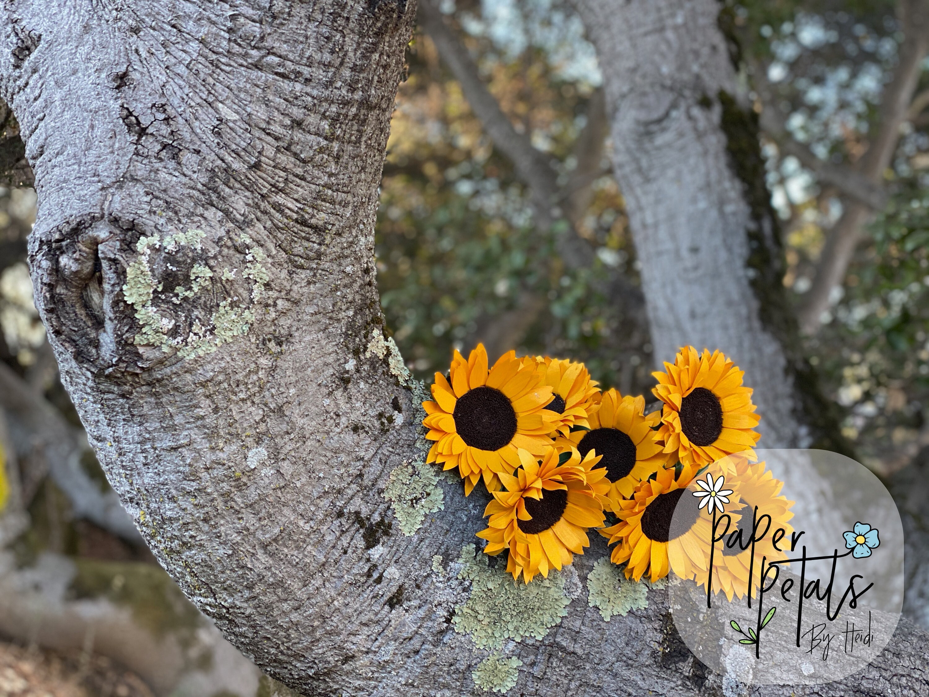 Sunflower SVG Make Your Own Paper Flowers Includes SVG | Etsy