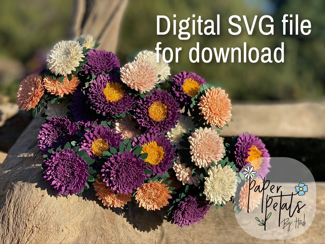 Aster, Aster Matsumoto, SVG, Make Your Own Paper Flowers, Includes SVG ...
