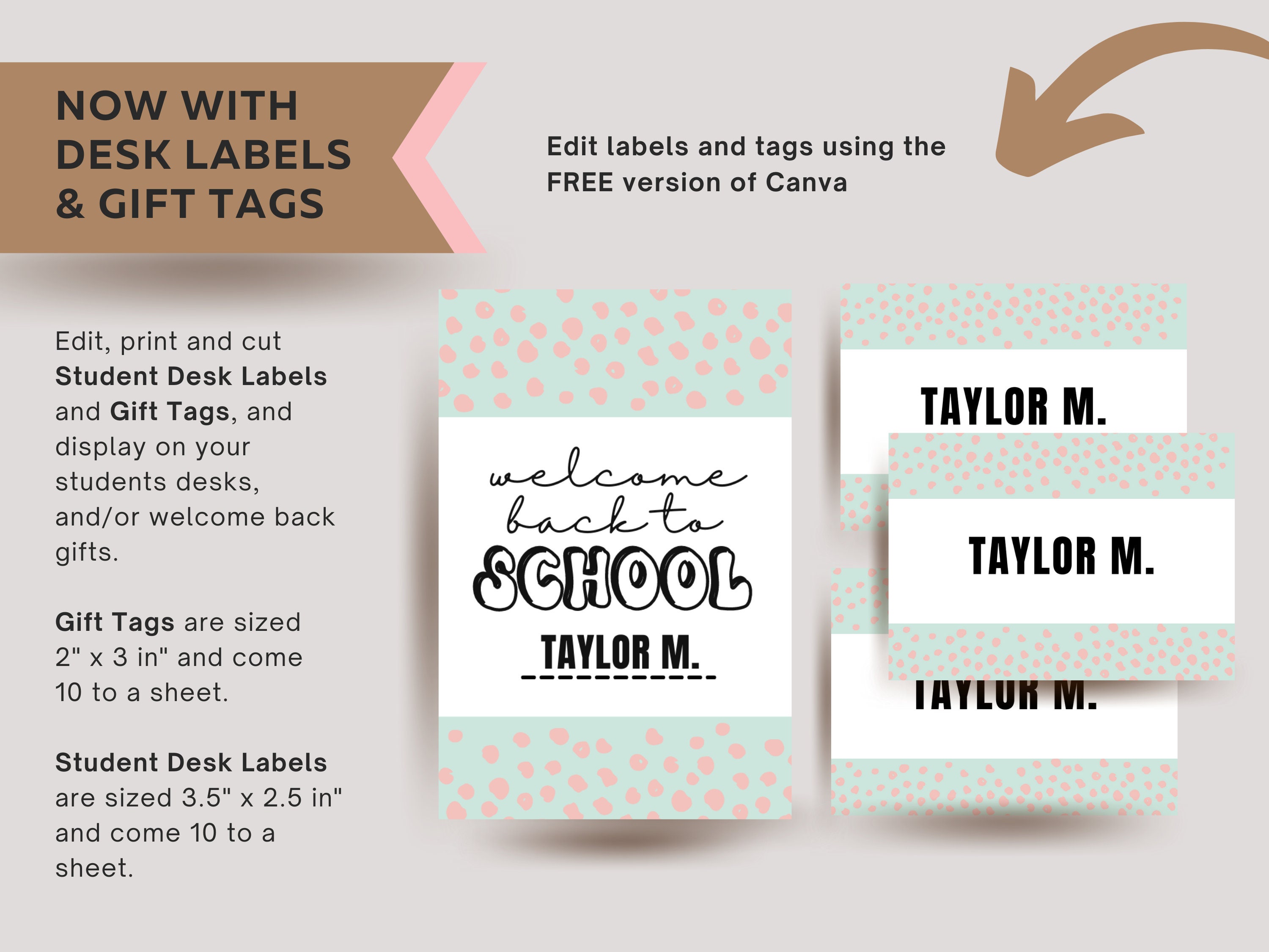 Meet the Teacher Template | Back to School Newsletter | Student Gift ...