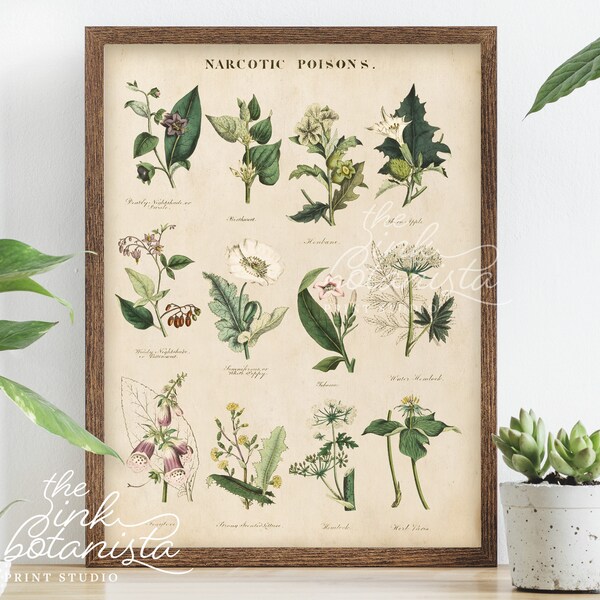 Poisonous Plants - Etsy