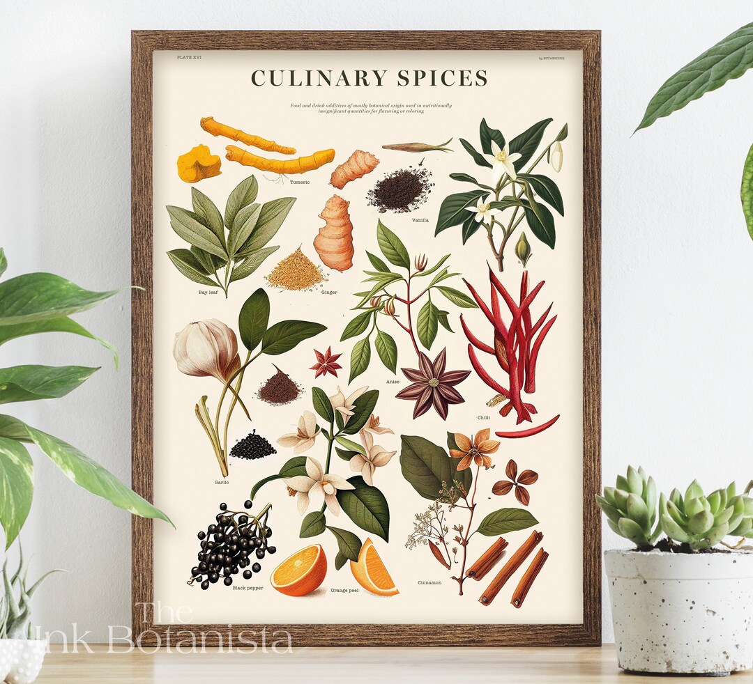 Kitchen Spices Chart Print Kitchen Poster Food Chart Print - Etsy