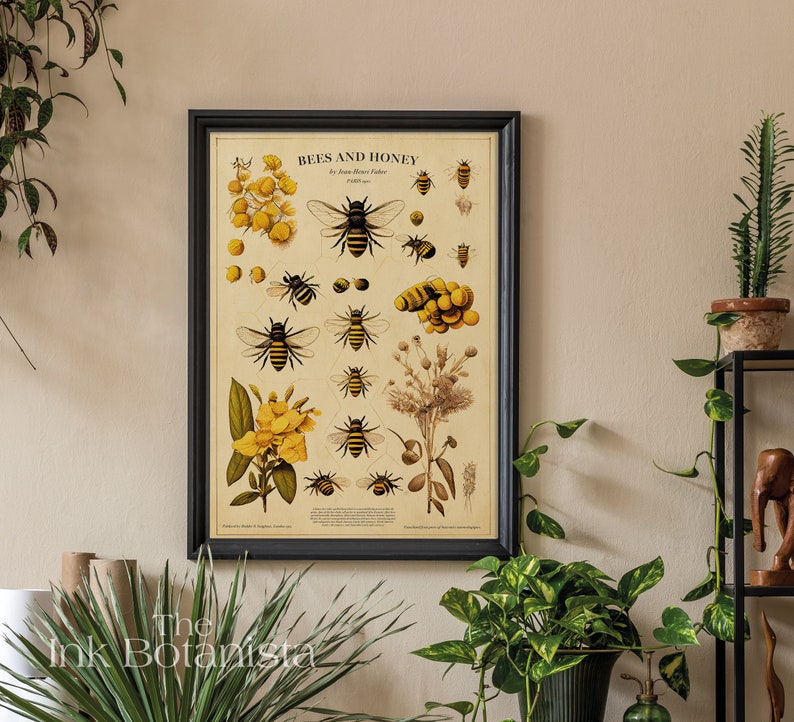 Bees Chart Print, Bees Poster, Bee Illustration, Bee Types Print, Bees ...