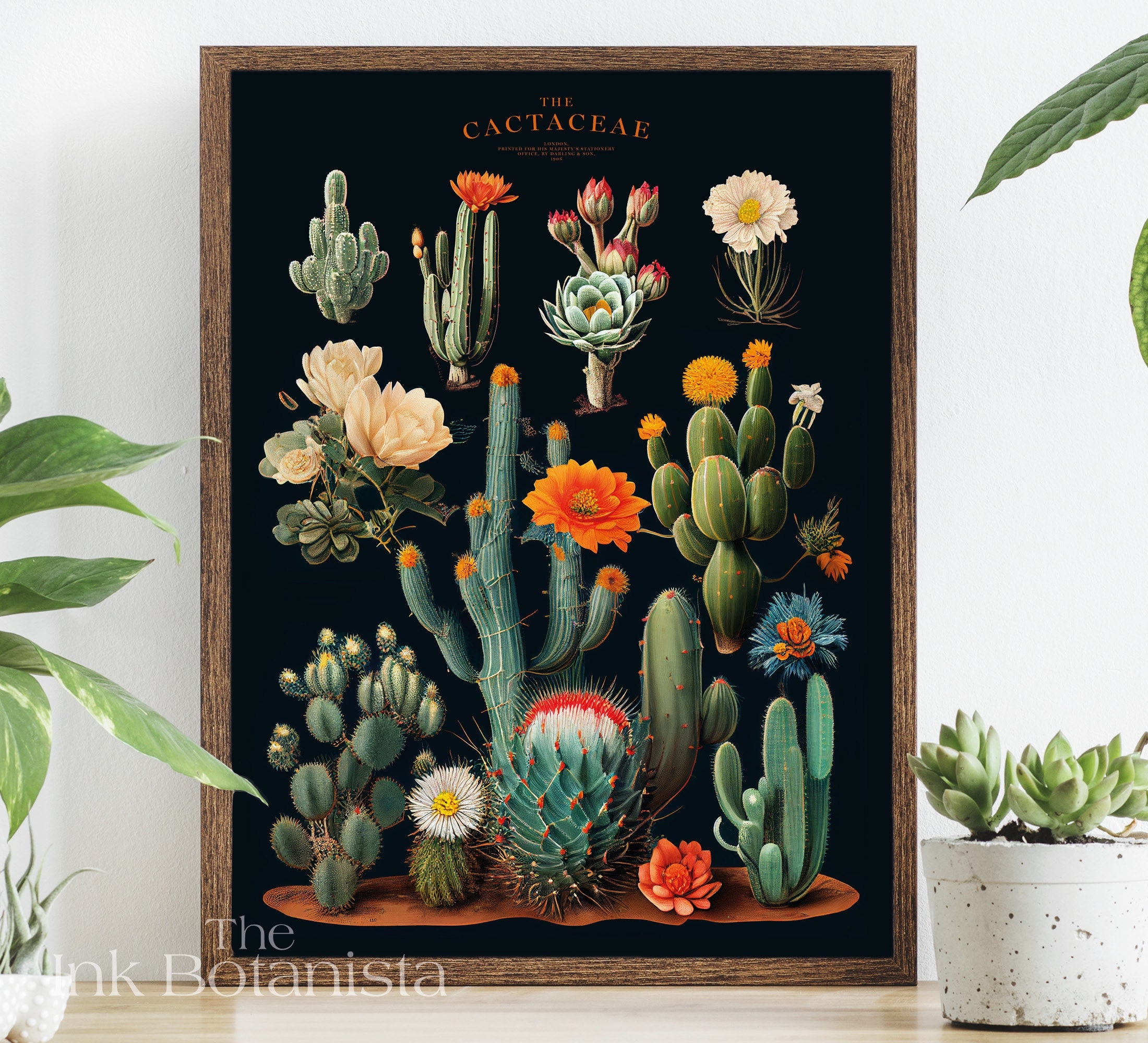 Cactus Chart Print, Cacti Poster, Botanical Poster, Succulent Wall Art ...