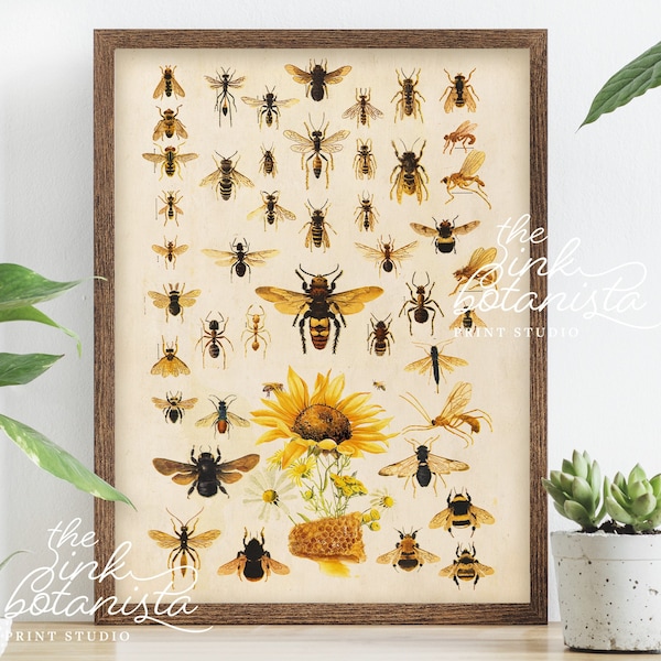 Bee Poster - Etsy