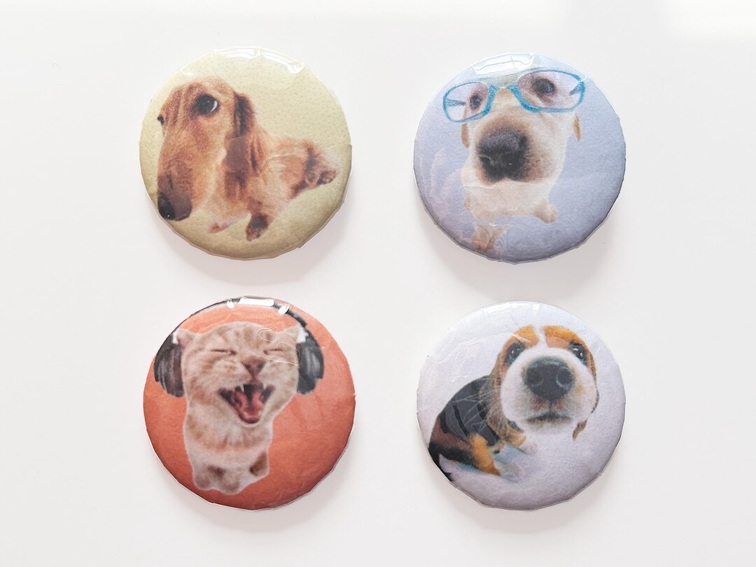Funny Fisheye Animal Meme Button Pin | Silly Dog Cat Trinket - Etsy