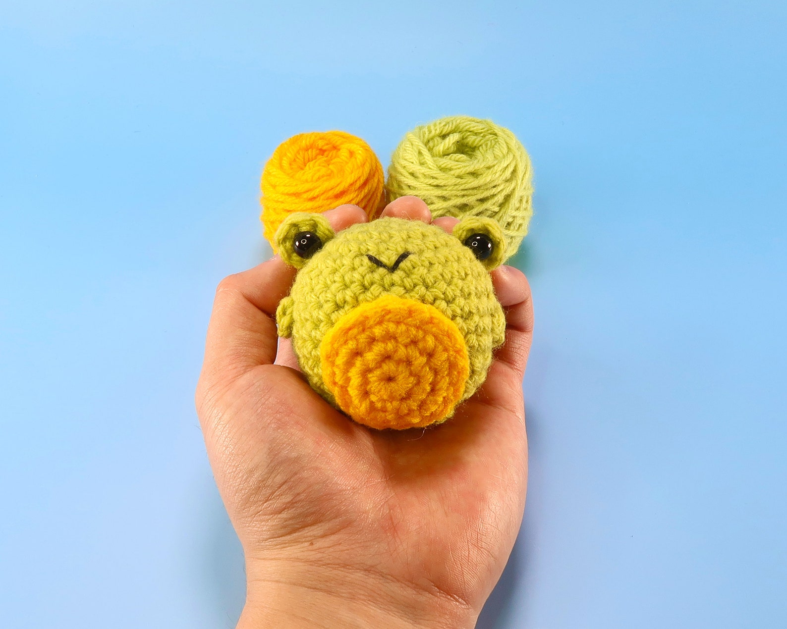 Beginner Frog Crochet Kit Easy Crochet Starter Kit Crochet - Etsy