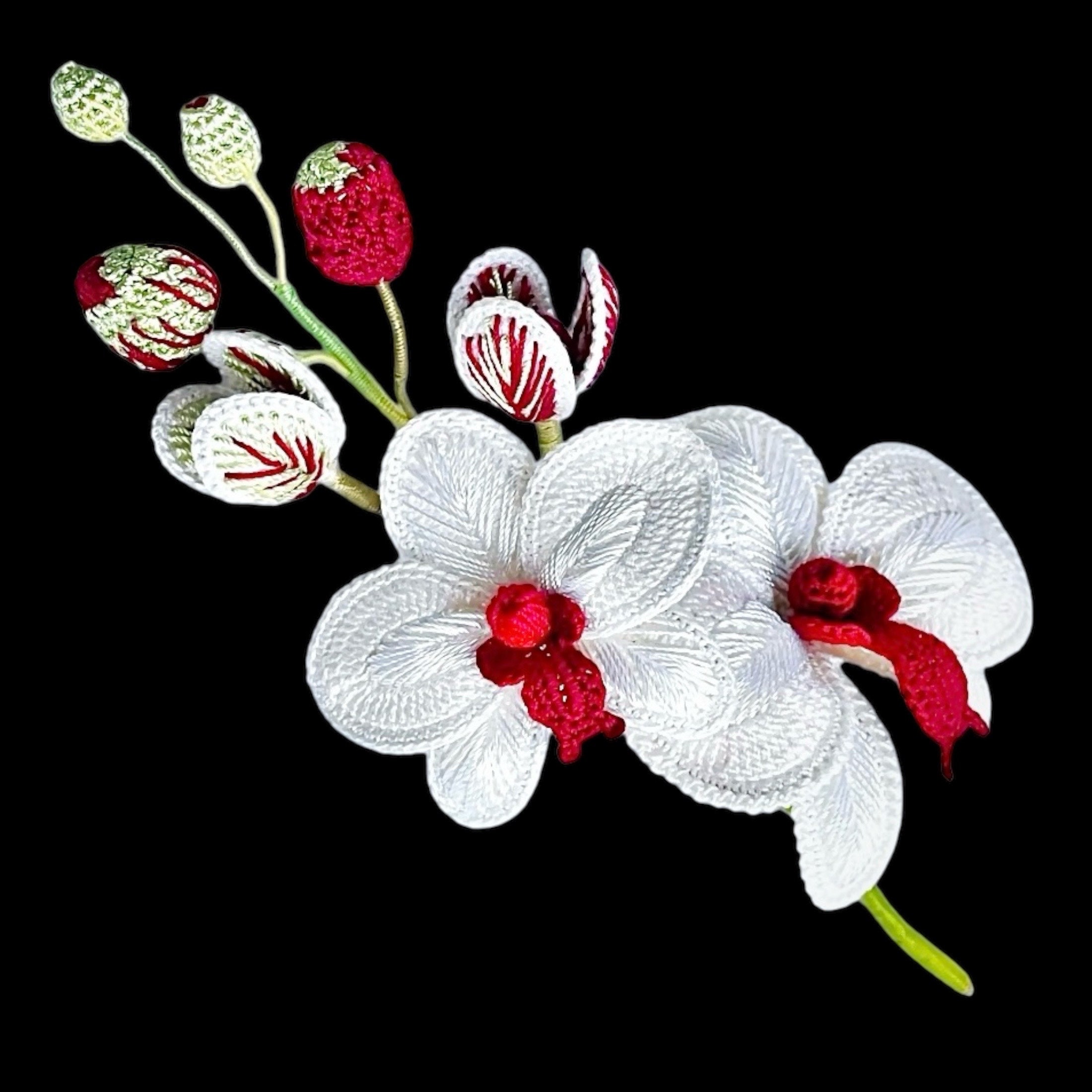 White Crochet Orchid PDF Pattern Phalaenopsis Appliqué Moth Patterns ...