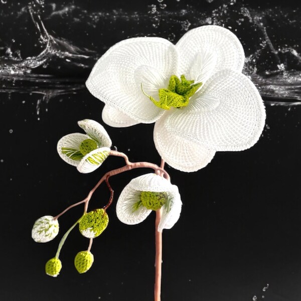 White Orchid Pattern - Etsy