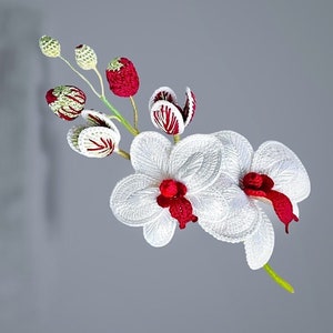 White Crochet Orchid PDF Pattern Phalaenopsis Appliqué Moth Patterns ...