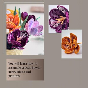 Crocus Crochet Pattern PDF Flowers Vase Amigurumi Flowers Gift for Her ...