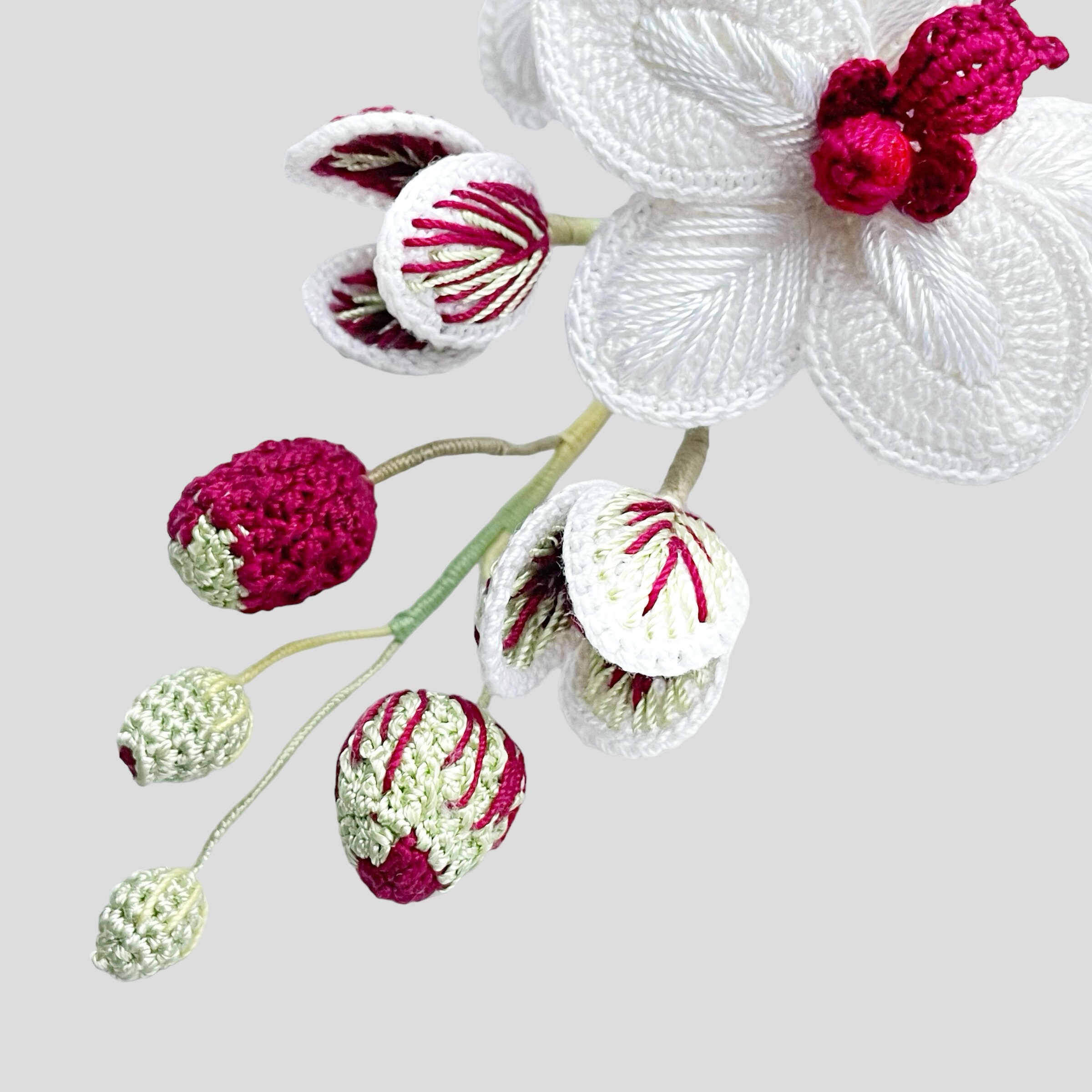 White Crochet Orchid PDF Pattern Phalaenopsis Appliqué Moth Patterns ...