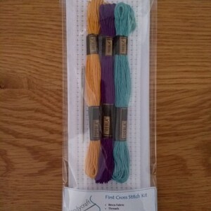 First Cross Stitch Kit: 12 Thread Colour Combos With Needle Binca ...