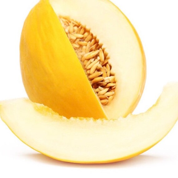 40 RARE SWEET MELON Seeds Titovka Ukrainian Organic Seeds | Etsy