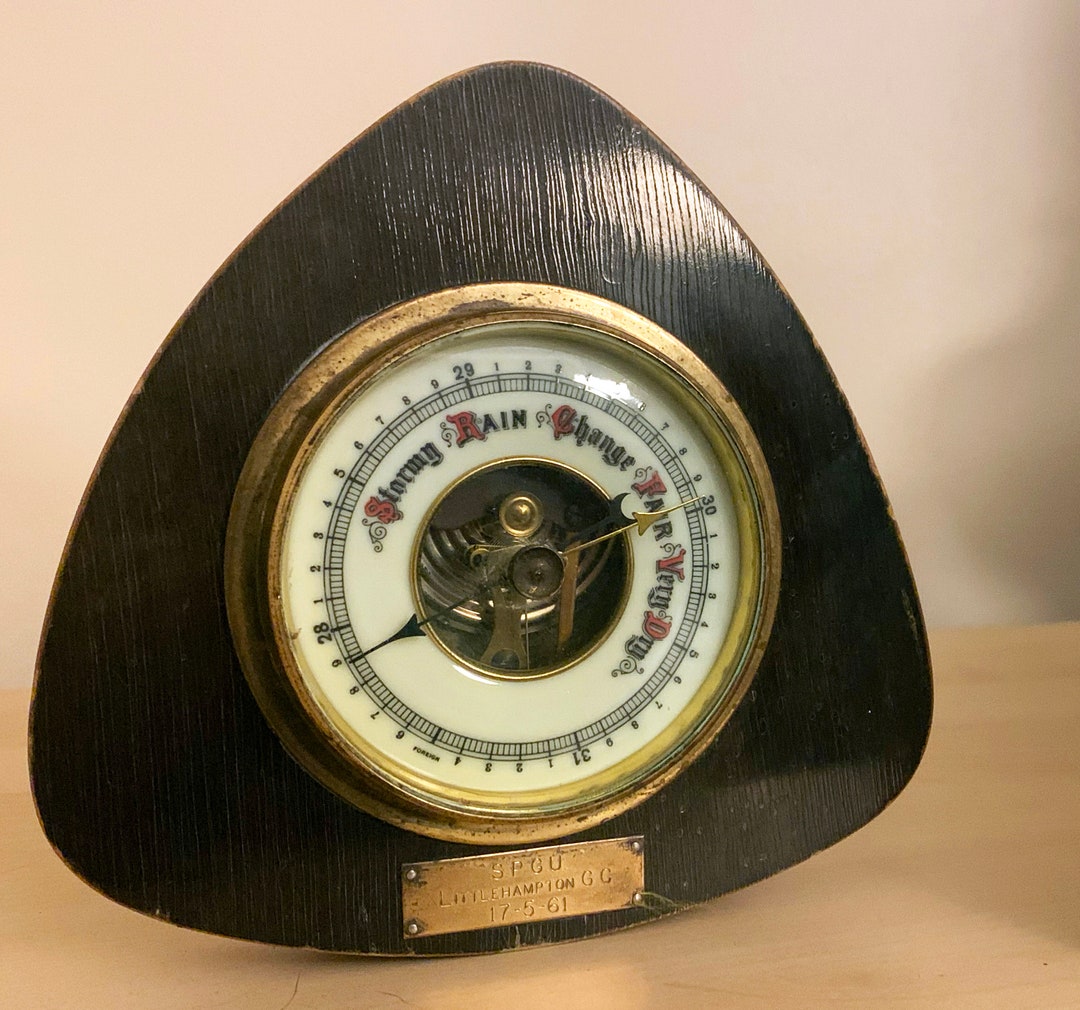 Vintage Barometer With Brass Plaque Inscribed Sussex Professional ...