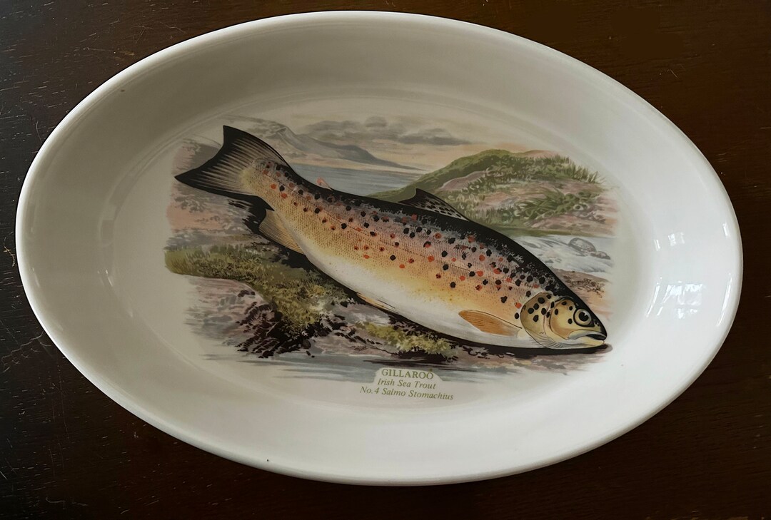 Vintage Portmeirion Compleat Angler Large Casserole / Fish Poacher ...