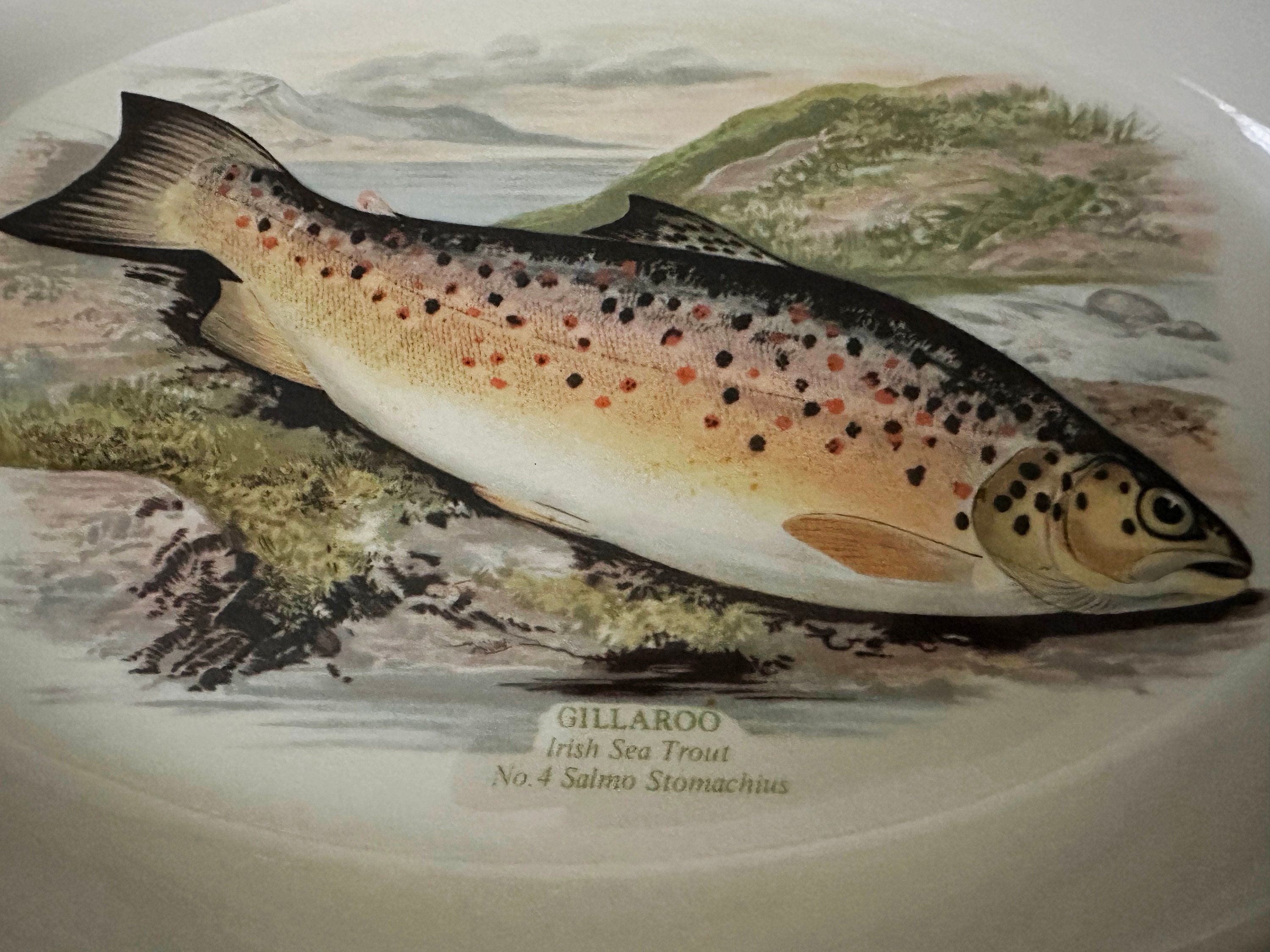 Vintage Portmeirion Compleat Angler Large Casserole / Fish Poacher ...