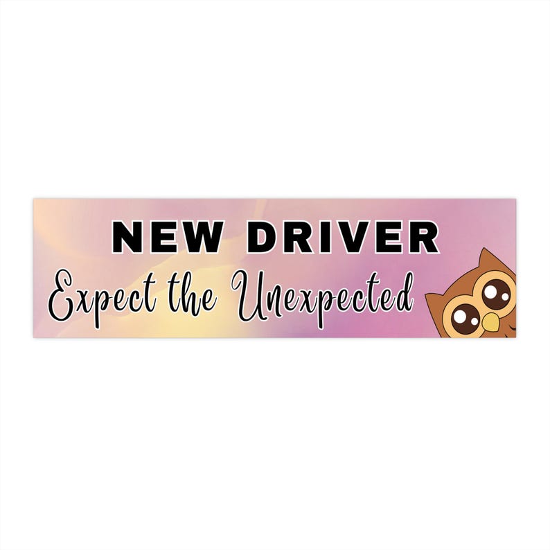 New Driver Bumper Sticker, Y2k Meme Sticker, Cute Bumper Sticker for ...