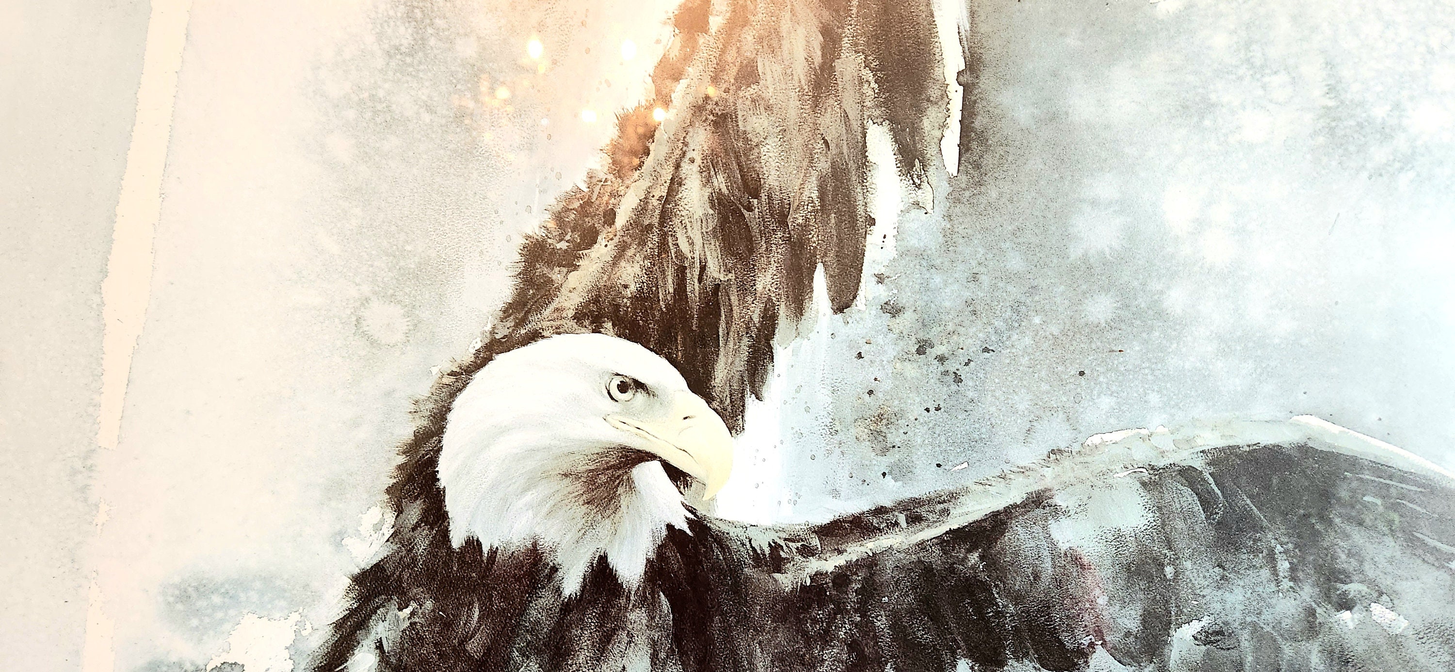 Morten E. Solberg 950 Signed & Numbered year of the Eagle Lithograph ...