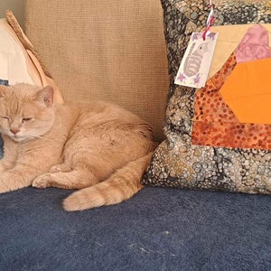 FPP Cat Head Pillow Pattern: Beginner Sewing (digital Download) - Etsy