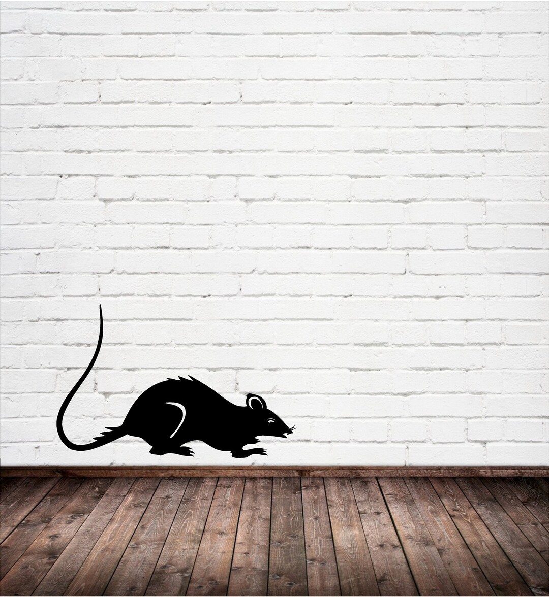 Solo Rat Vinyl Wall Art, Decal, Sticker, Transfer, Mural, Removable ...