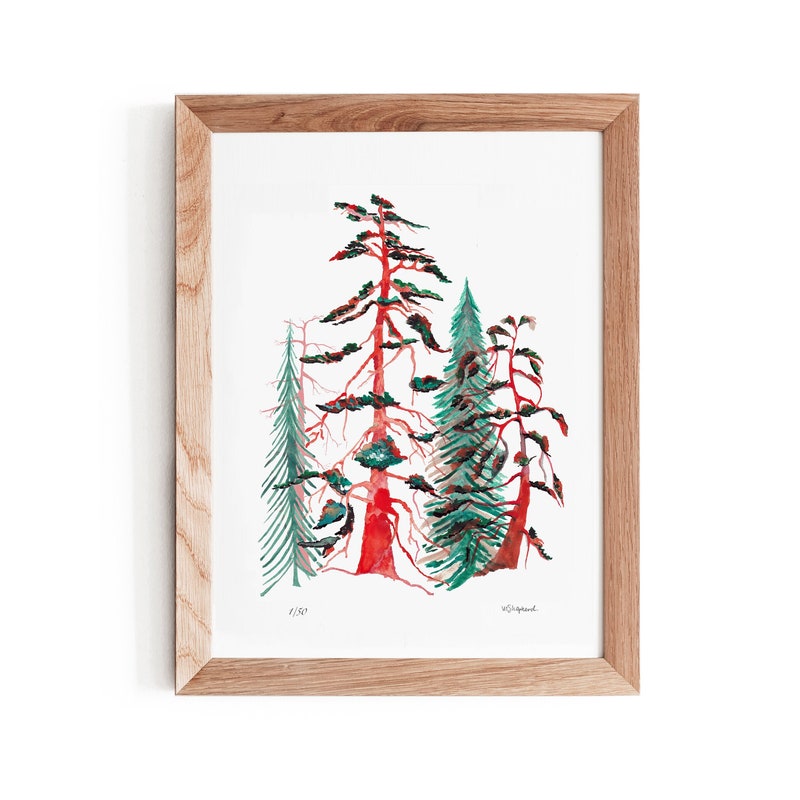 Redwood Print - Etsy