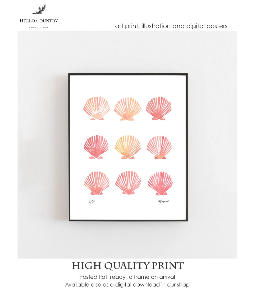 Seashell Print: Pink Watercolor Nautical Wall Art (A4) - Etsy UK