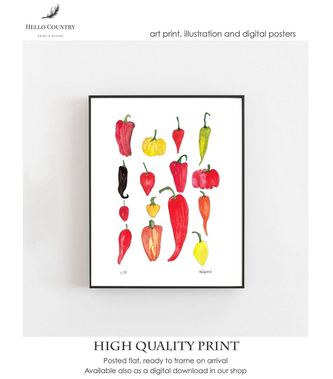 Chili Pepper Print: Kitchen Wall Art, Autumn Decor (A4) - Etsy