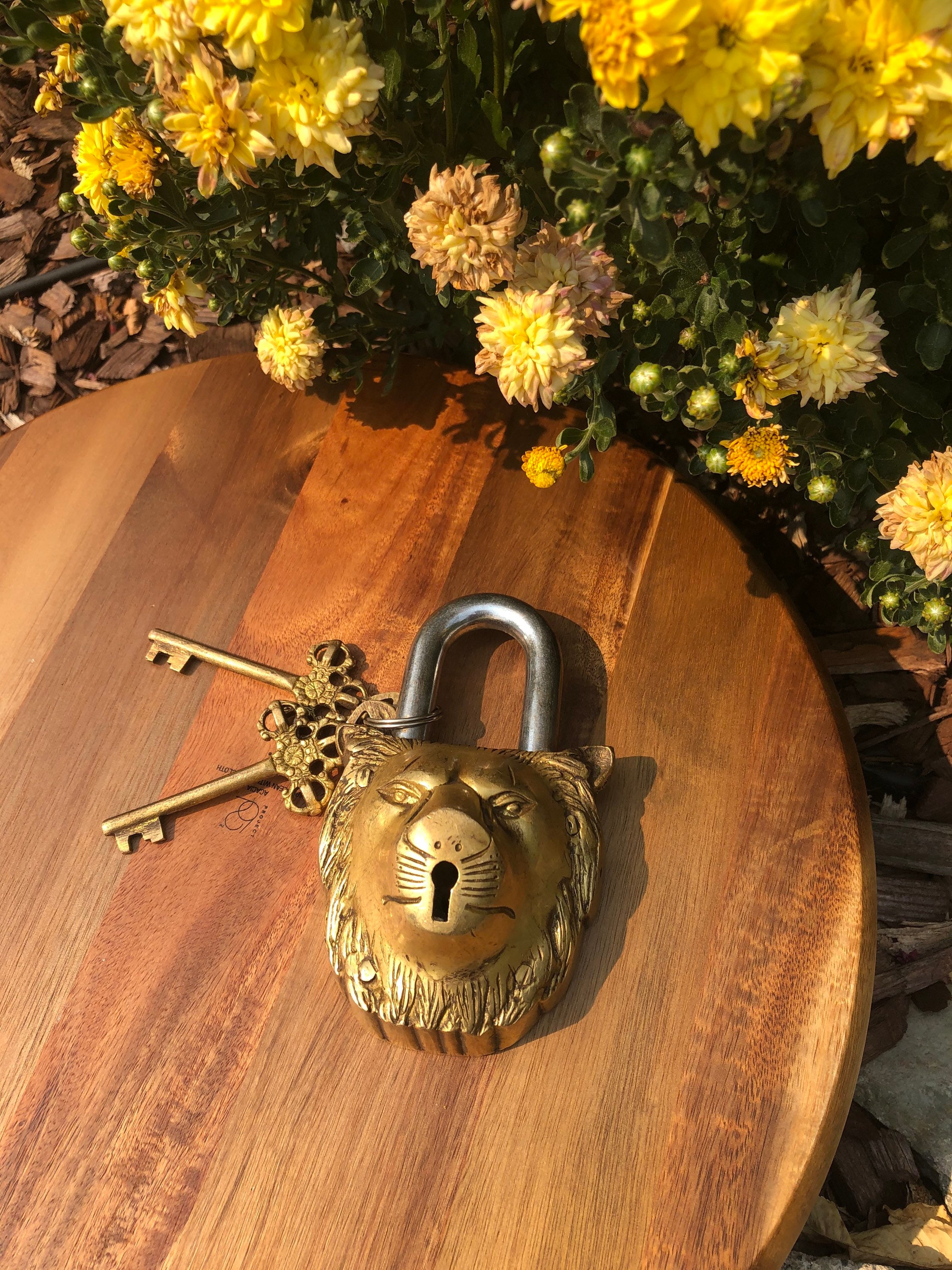 Lion Unique Padlock Temple Lock Ornate Design Animal Lock | Etsy
