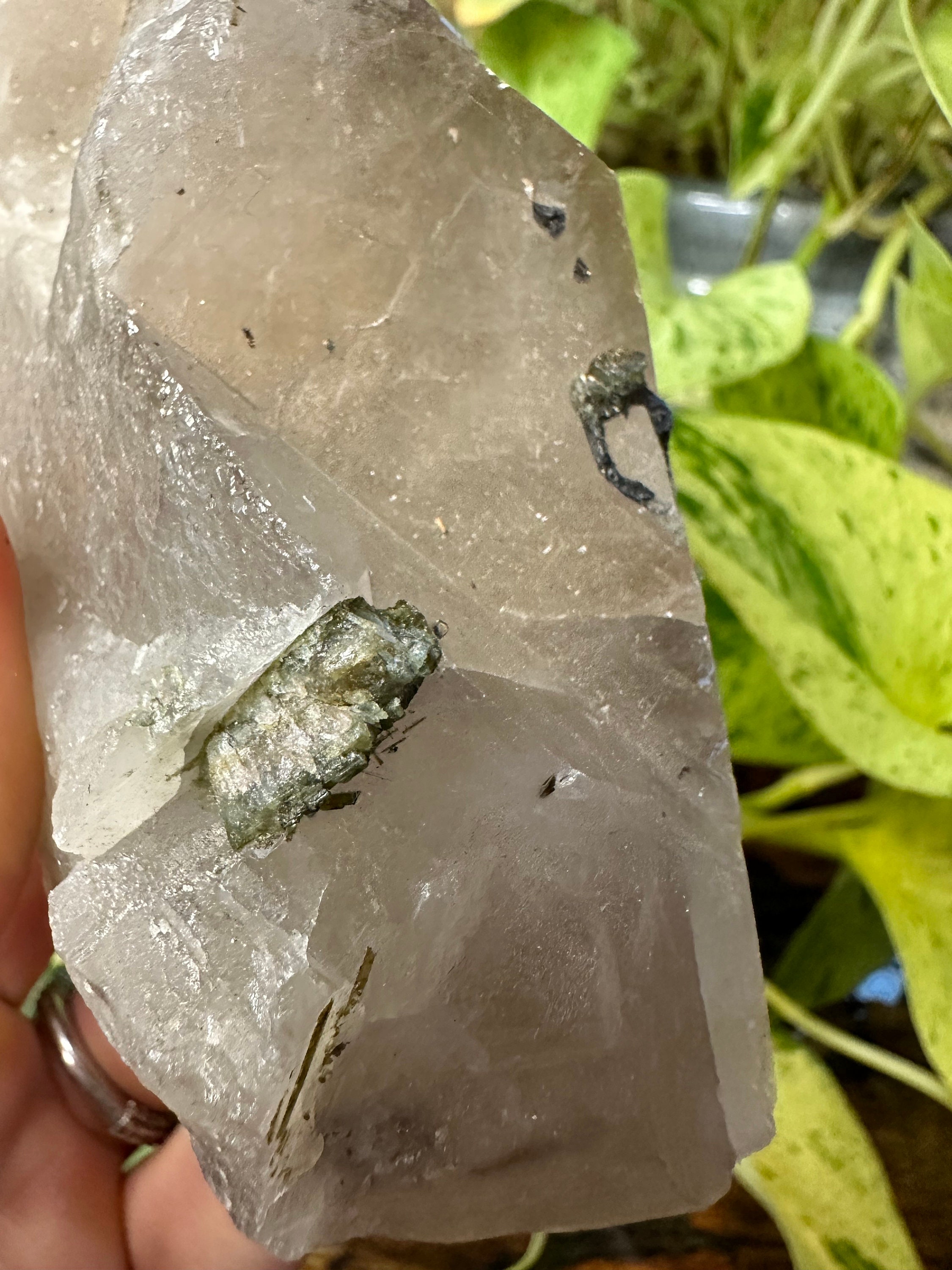 Watermelon Tourmaline in Quartz Heart Chakra Rare and Powerful Crystal ...