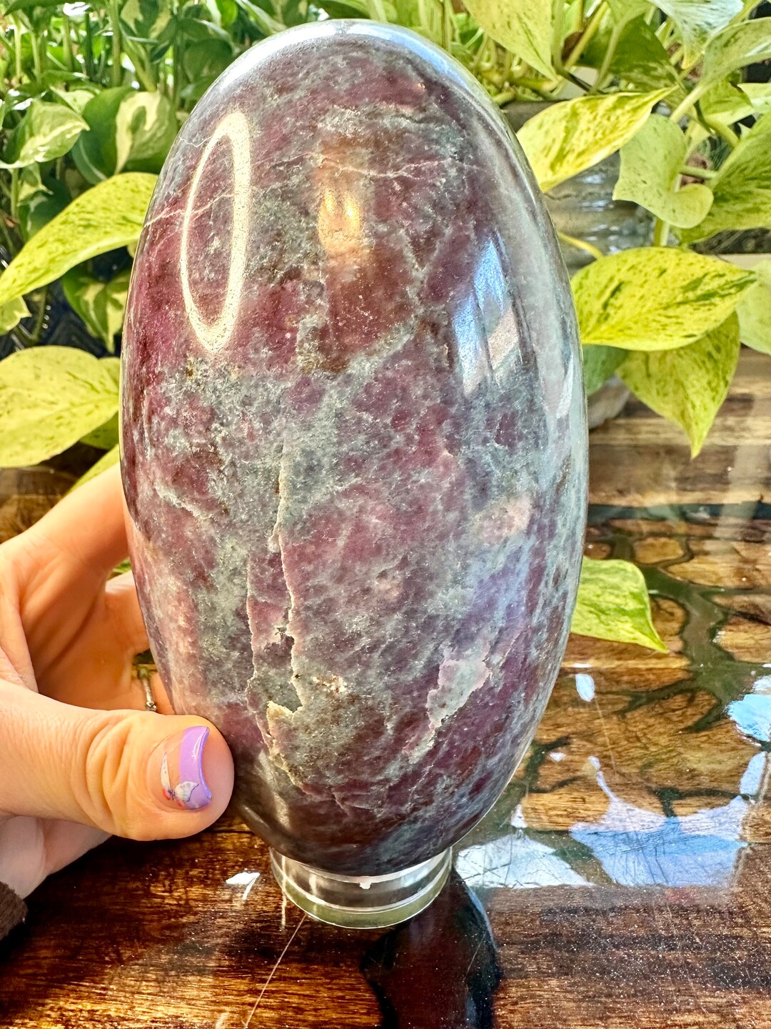 Ruby Fuchsite in Kyanite Shiva Stone: Heart Chakra Stone (XL 8x4 Inch ...