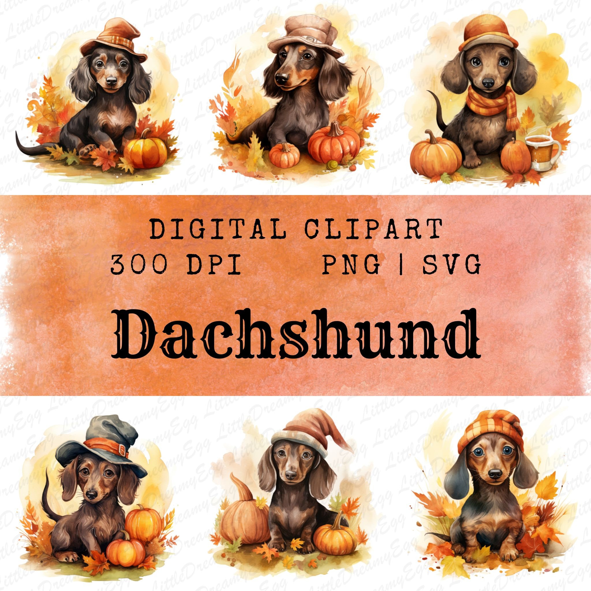 Top 10 Dog Breed: Cute Dachshund Bundle PNG, Autumn Vibe Sublimation ...