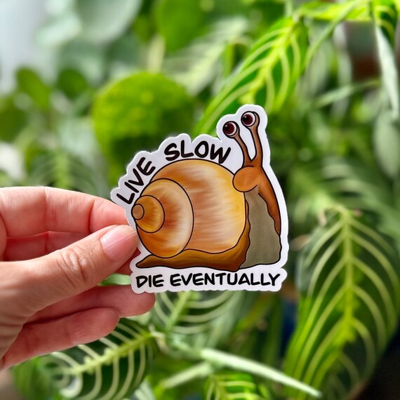 Slow As A Snail
