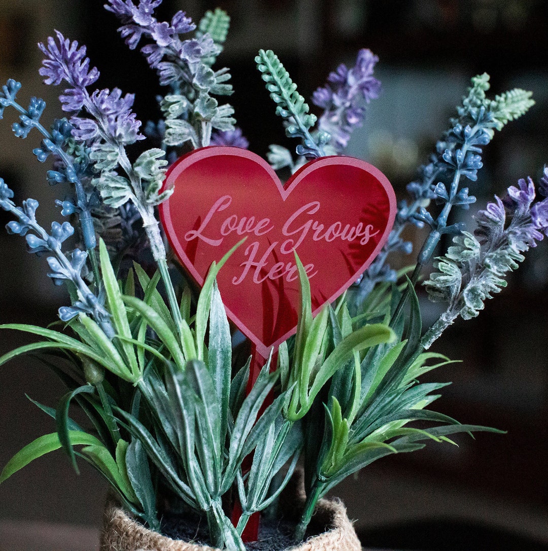 Custom Acrylic Planter Tag | Valentines Day | Planter Stick | Plant Tag ...