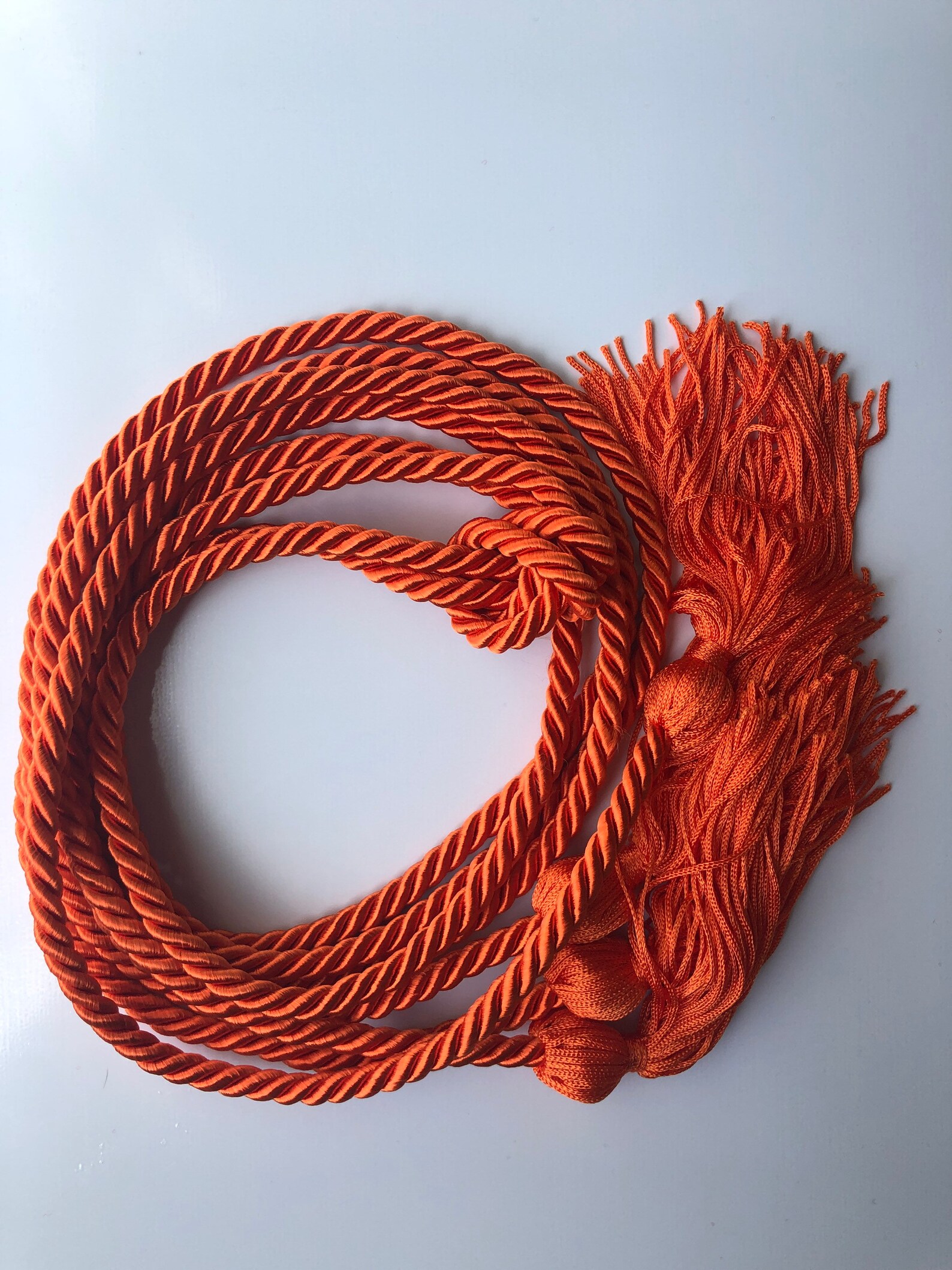 Graduation Honor Cord SET of 1 OR 2 Honor Society Cord - Etsy