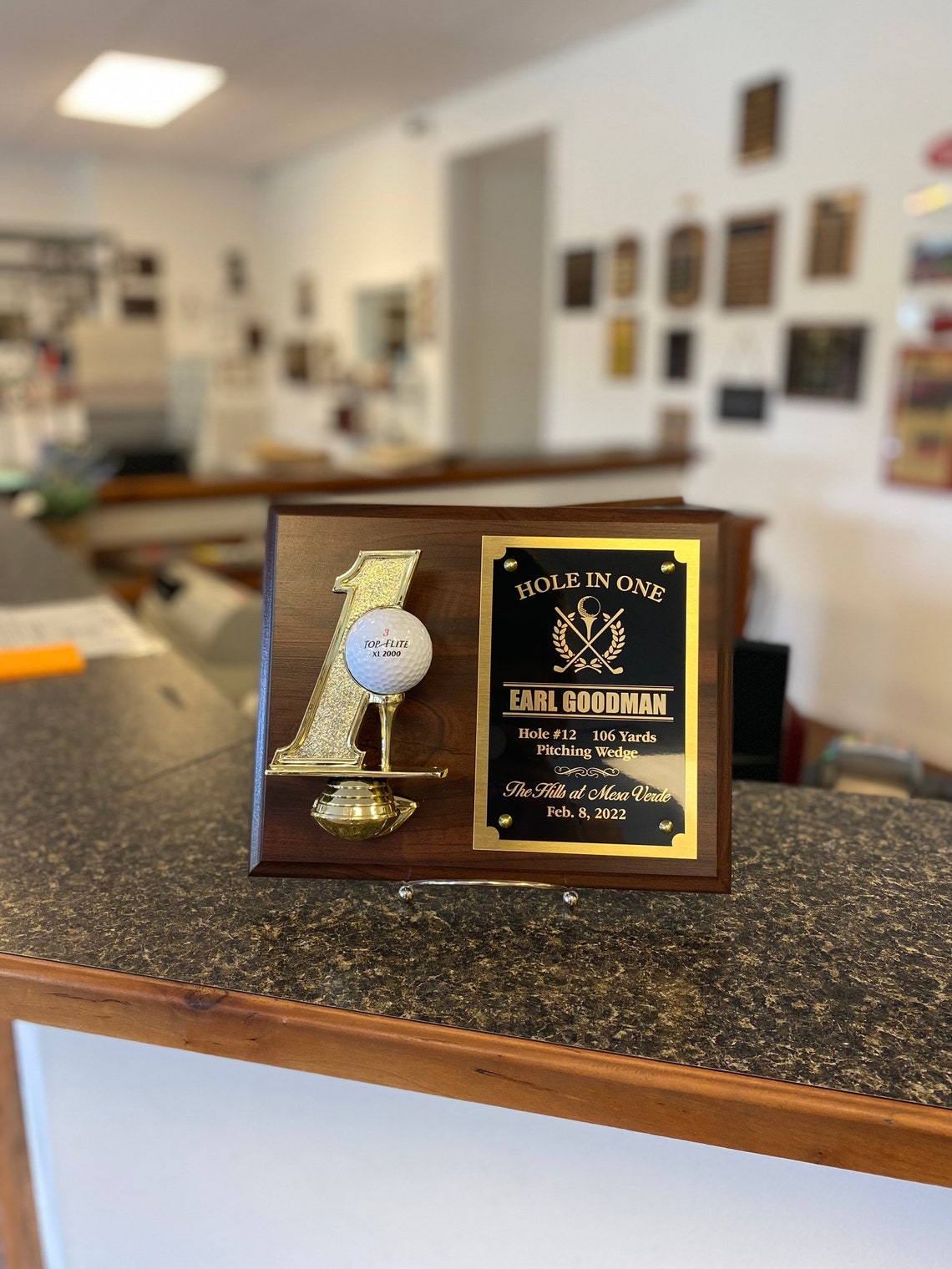 Golf Hole in One Plaque 8x10 | LASER ENGRAVED | Golfer Christmas Gift ...