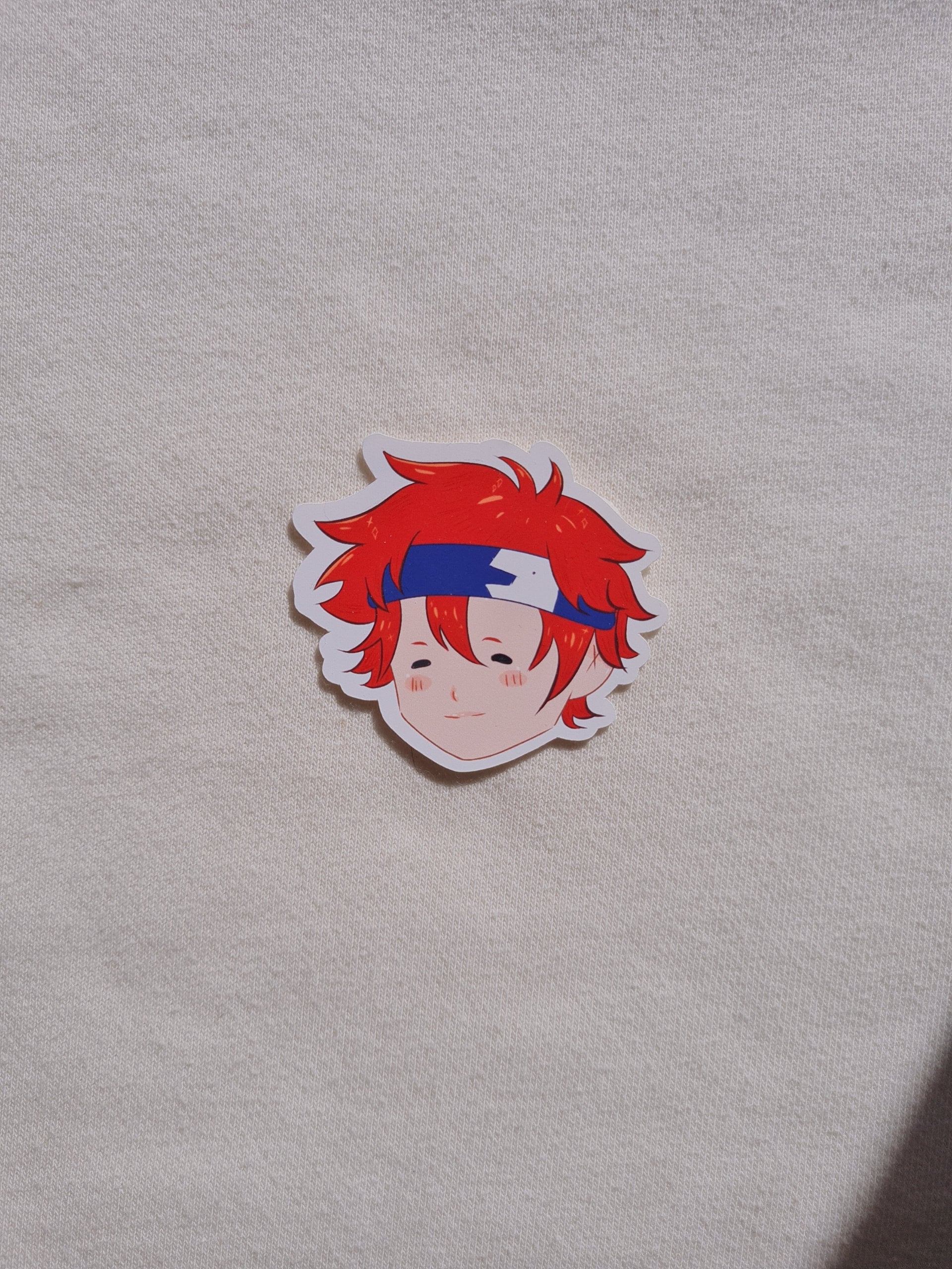 Sk8 the Infinity Sticker Set Langa Hasegawa Reki Kyan - Etsy