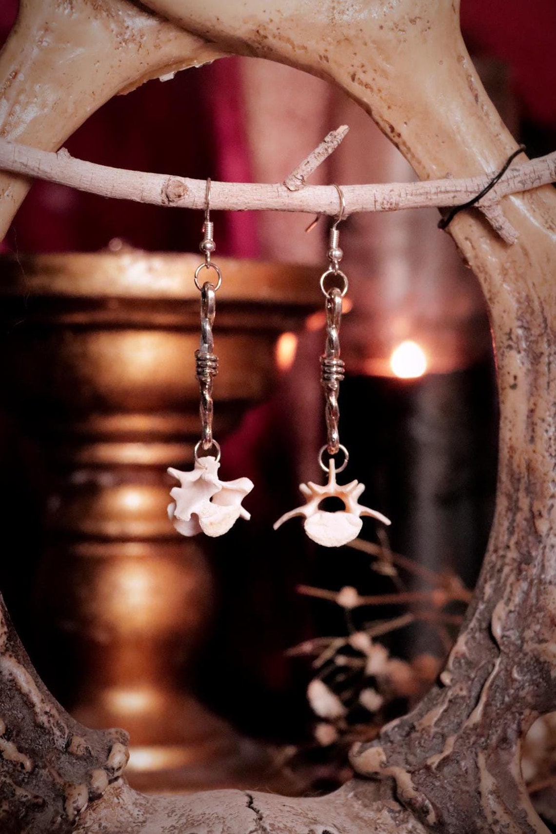 Barbed Wire and Bone Goth Vertebrae Silver Earrings Real Bone Jewelry ...