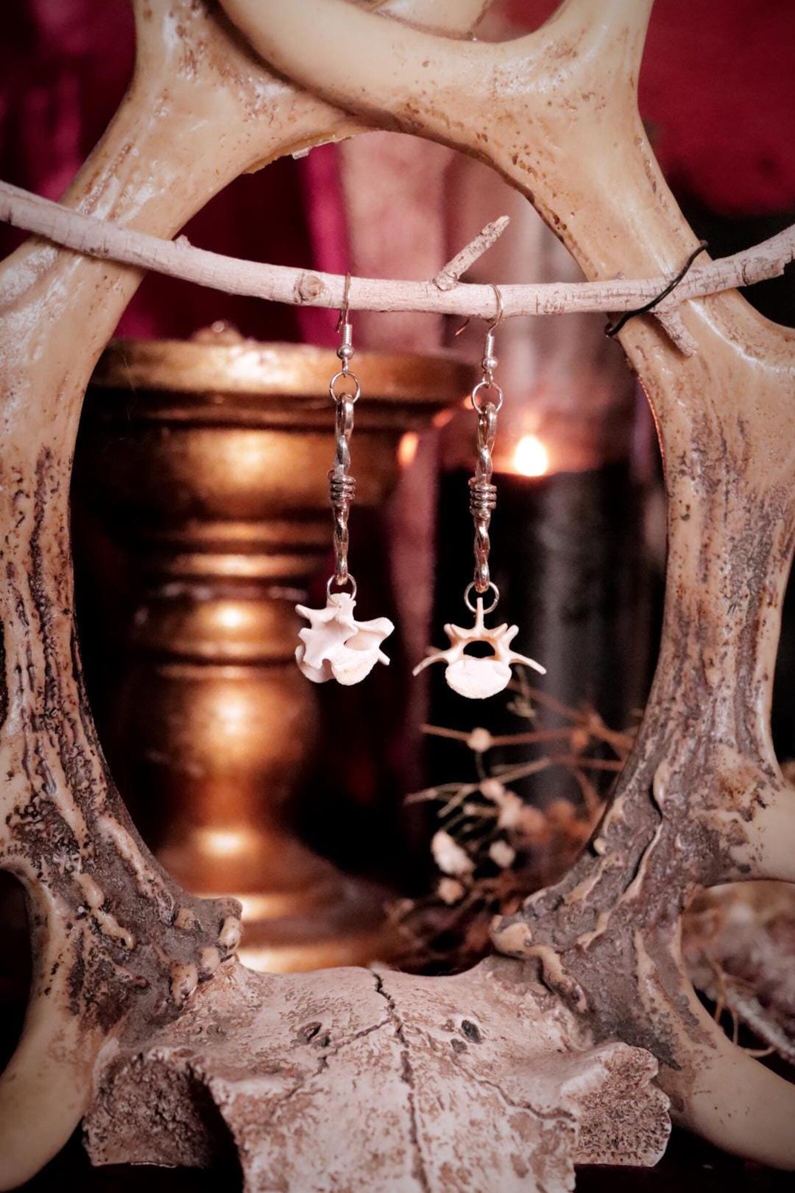 Barbed Wire and Bone Goth Vertebrae Silver Earrings Real Bone Jewelry ...