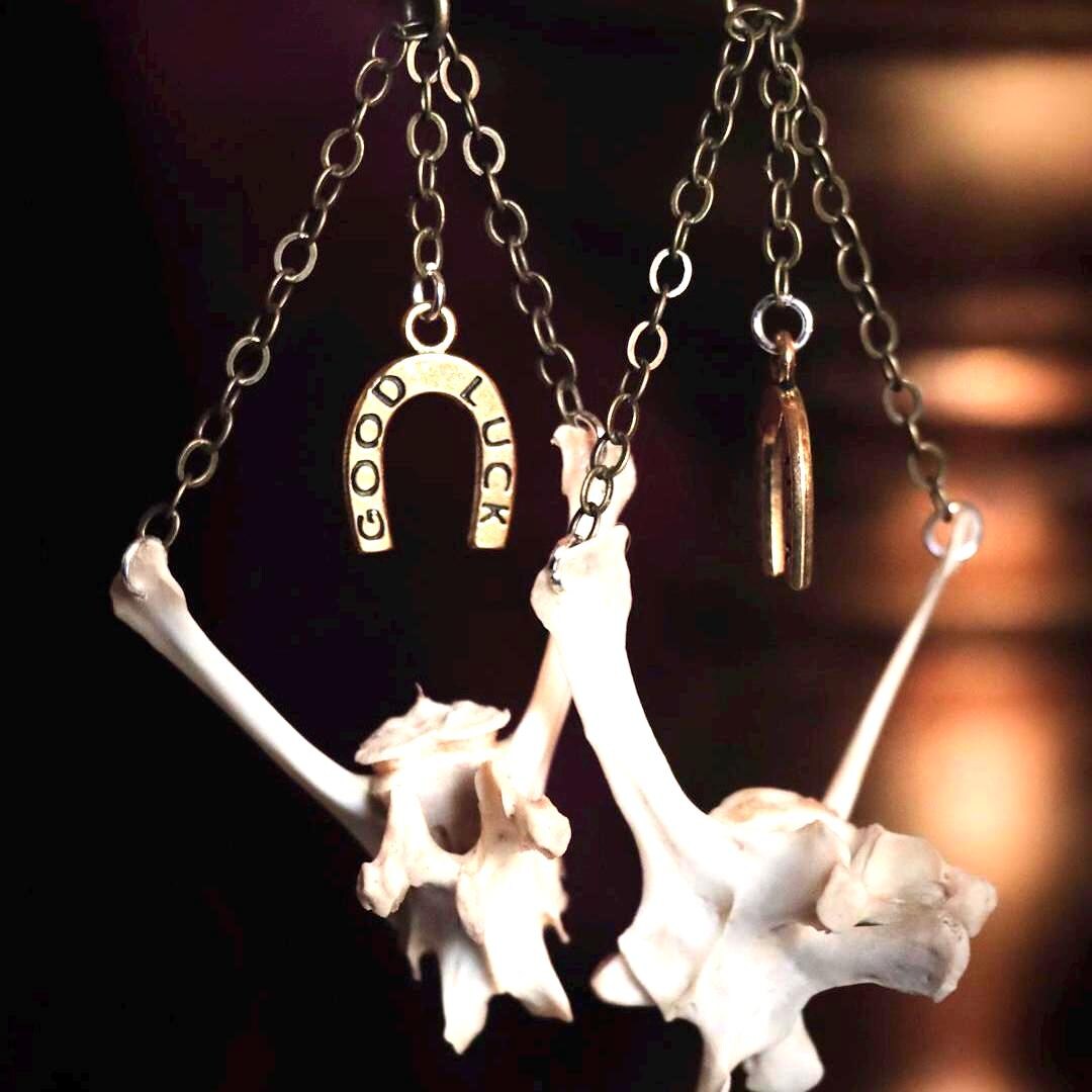 Good Luck Horseshoe Cowboy Real Bone Summer Earring Witchy Jewelry - Etsy