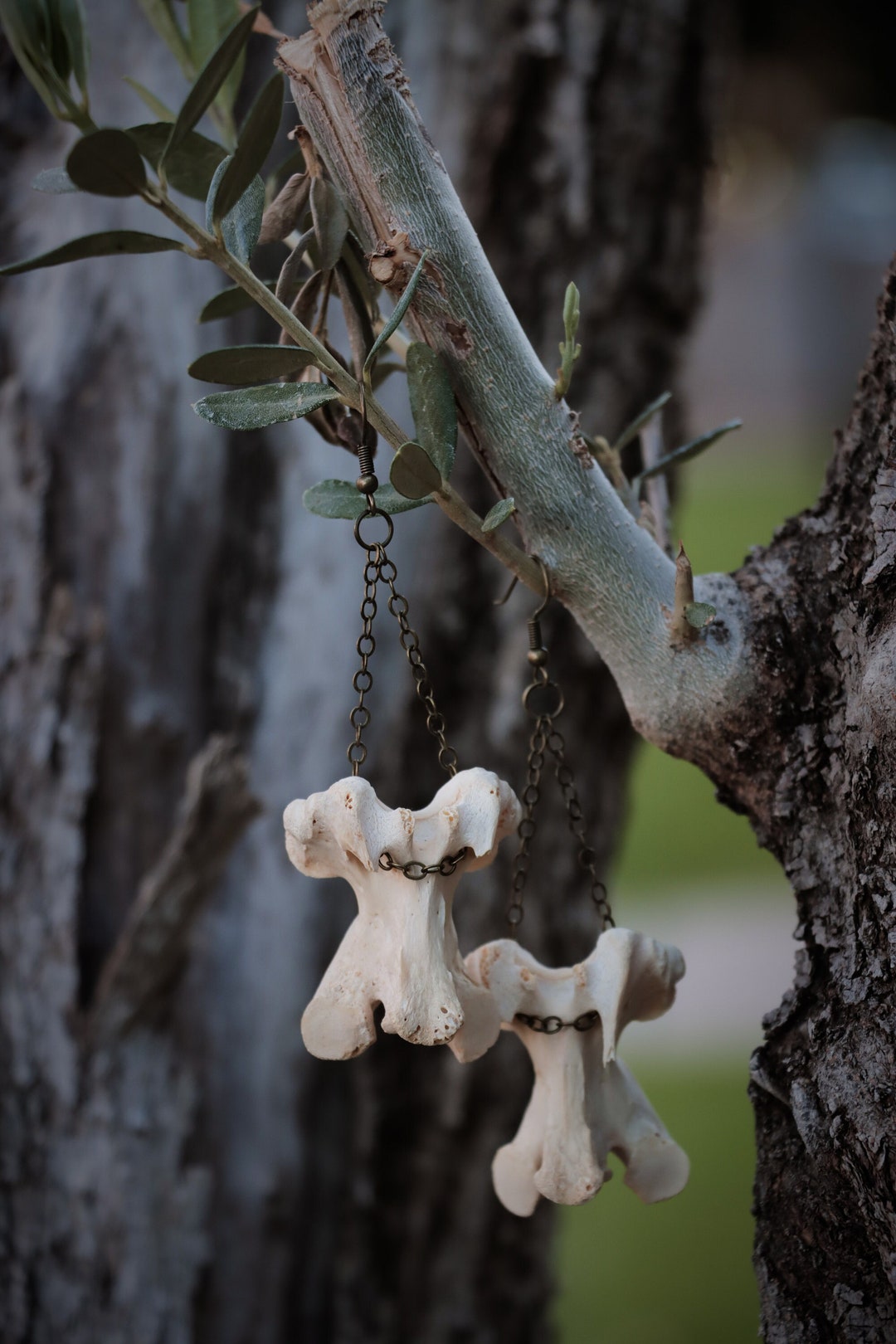 Large Bone Earring, Real Vertebrae Dangling Bone Earrings, Folk Witch ...