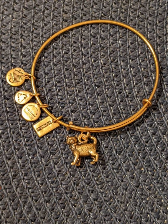 Alex and Ani Monopoly Cat Charm Bangle Bracelet Etsy