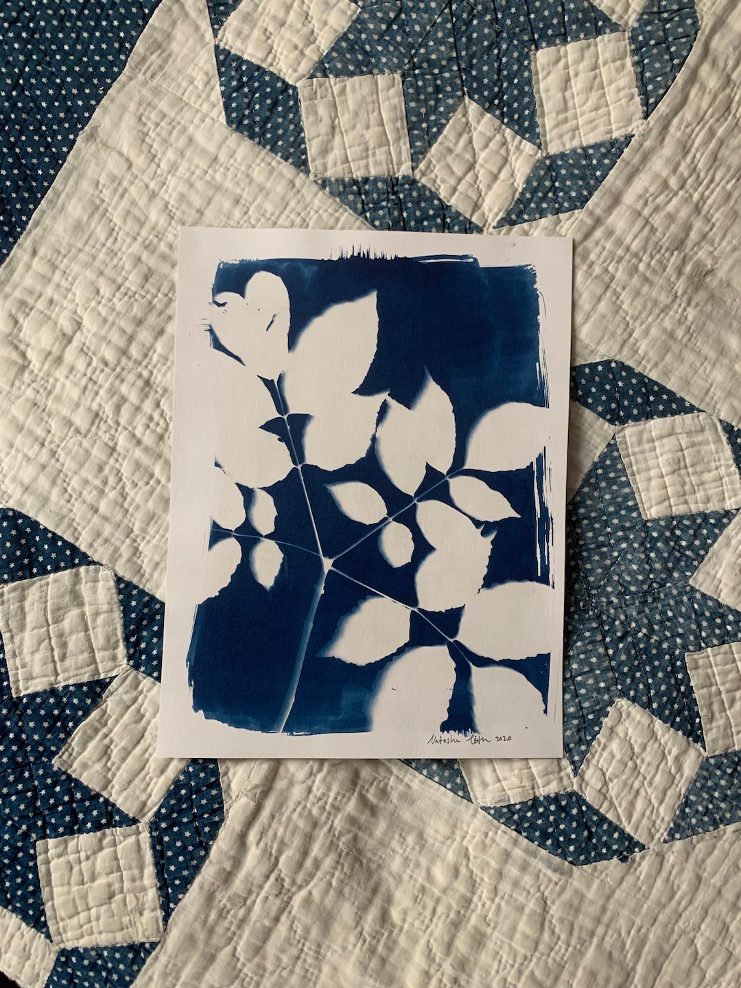 Cyanotype Print, Blue Botanical Art, Cyanotype Art Sunprint, Plant ...