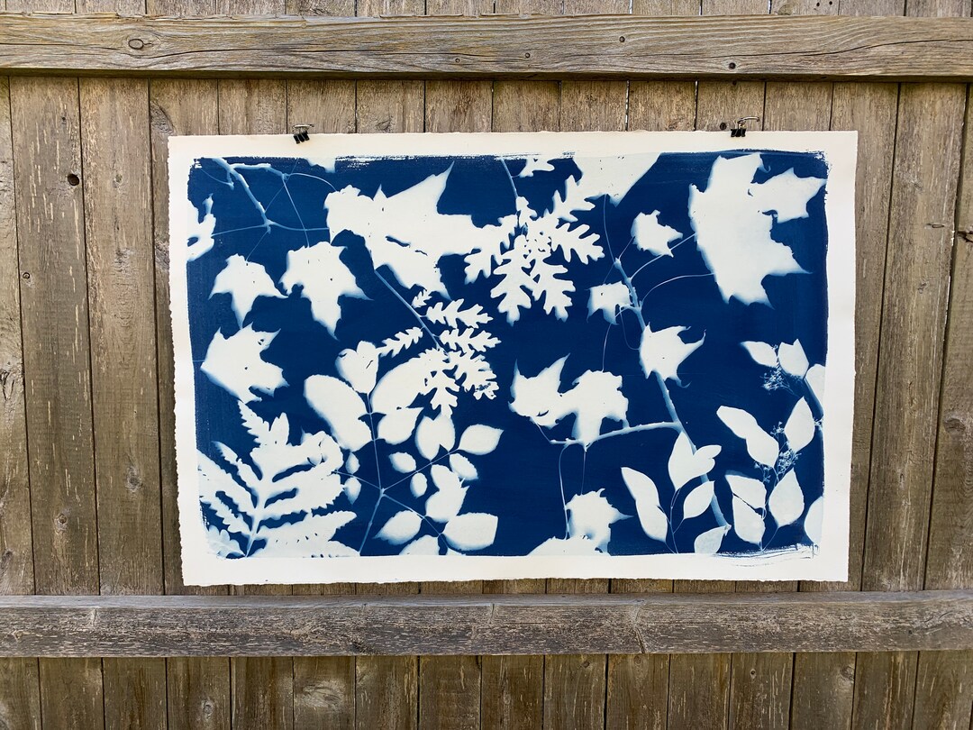 Cyanotype Print, Blue Botanical Art, Cyanotype Art Sunprint, Plant ...