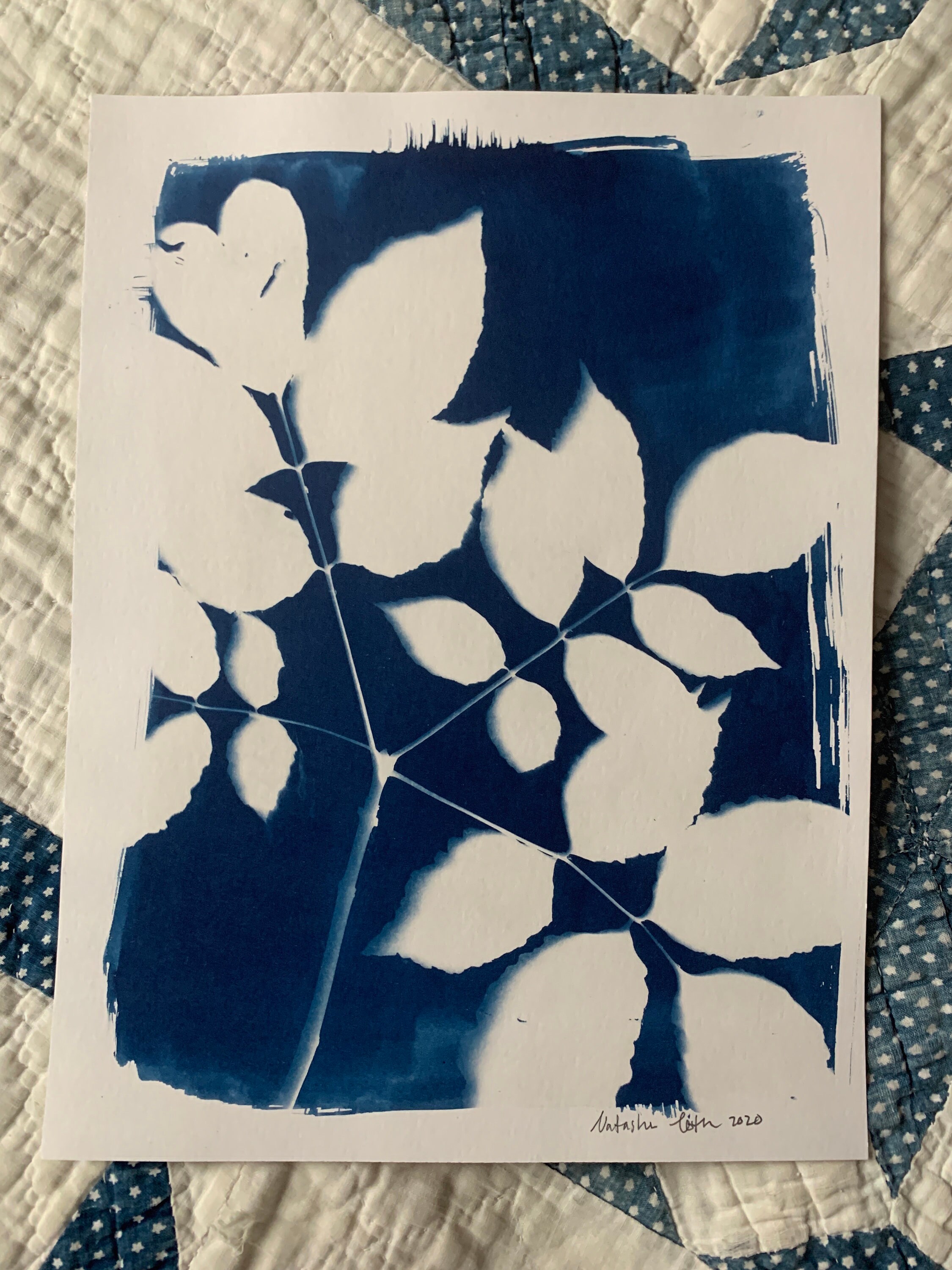 Cyanotype Print, Blue Botanical Art, Cyanotype Art Sunprint, Plant ...
