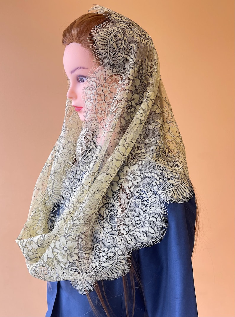 Elegant Vintage-inspired French Lace Infinity Chapel Mantilla Veil ...