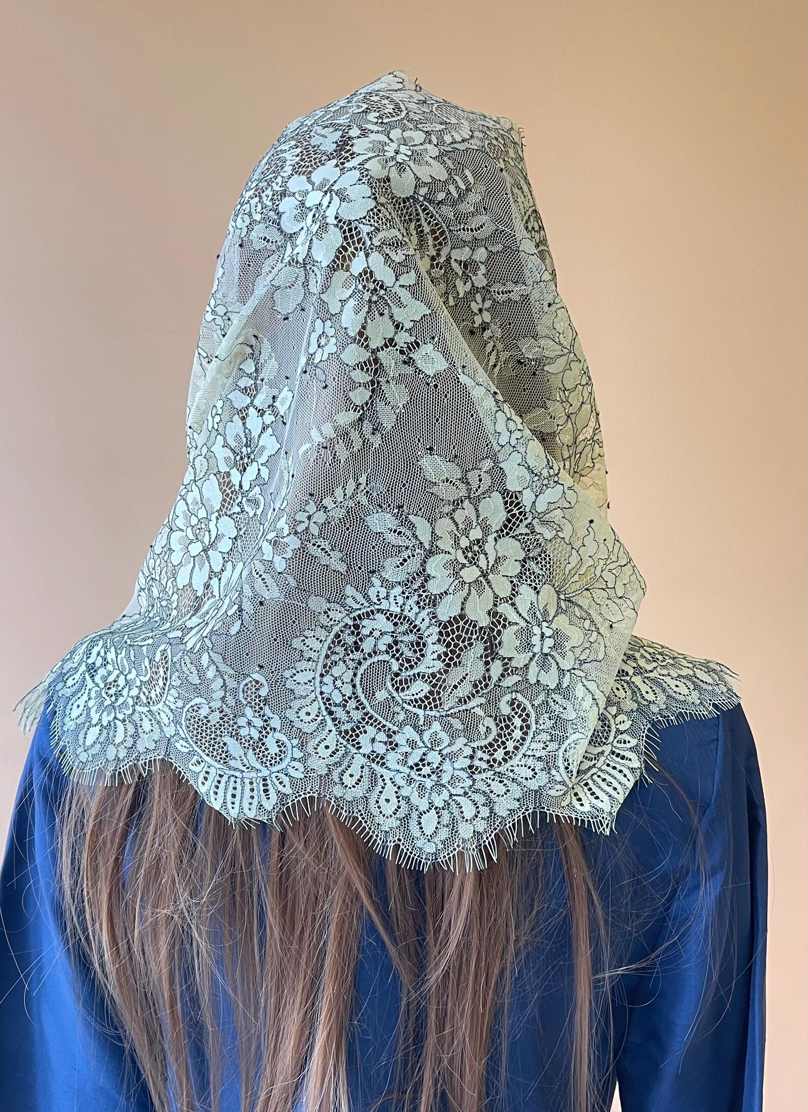 Elegant Vintage-inspired French Lace Infinity Chapel Mantilla Veil ...