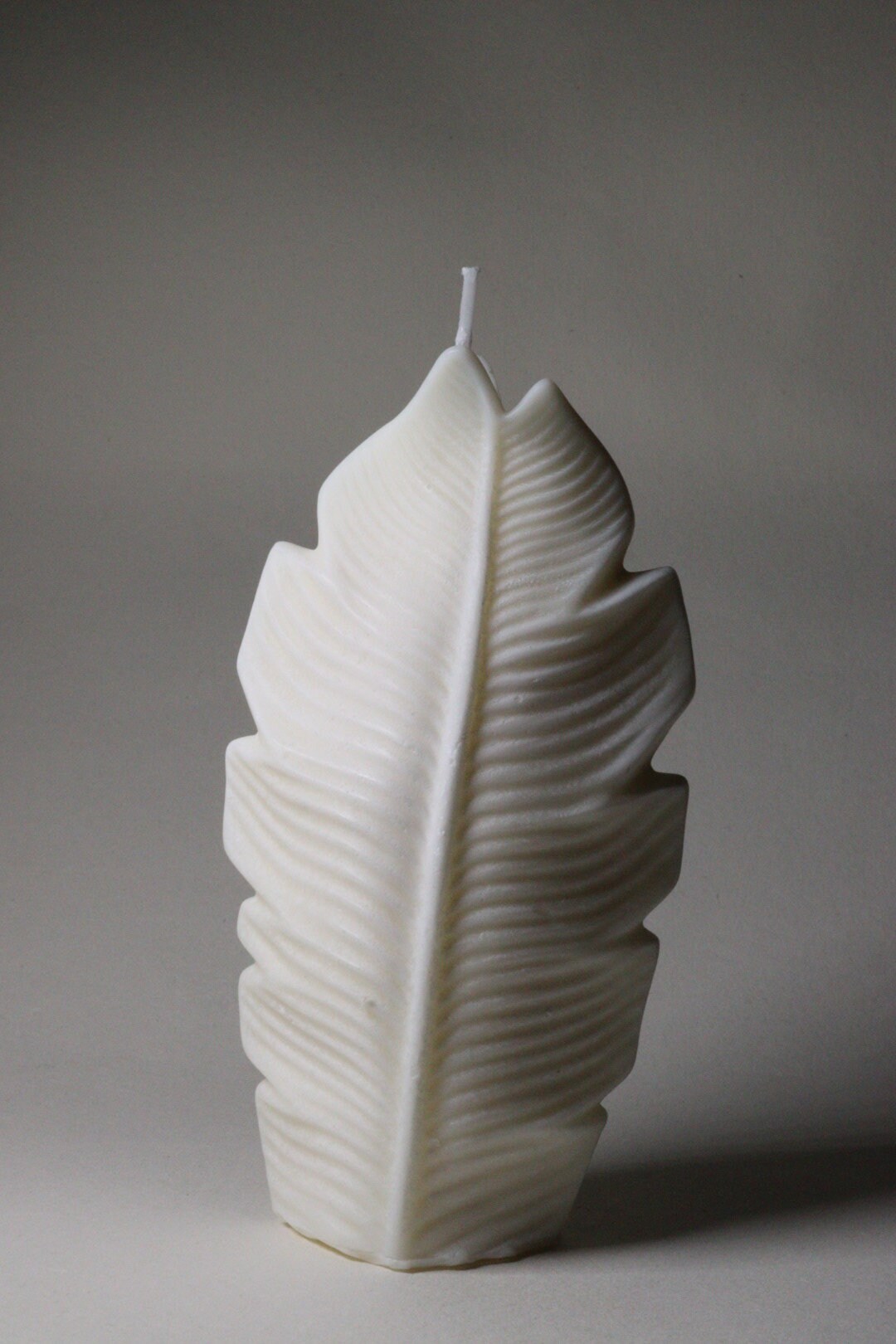 Feather 170g Candles/ Aesthetic Novelty Natural Soy Wax Candle - Etsy