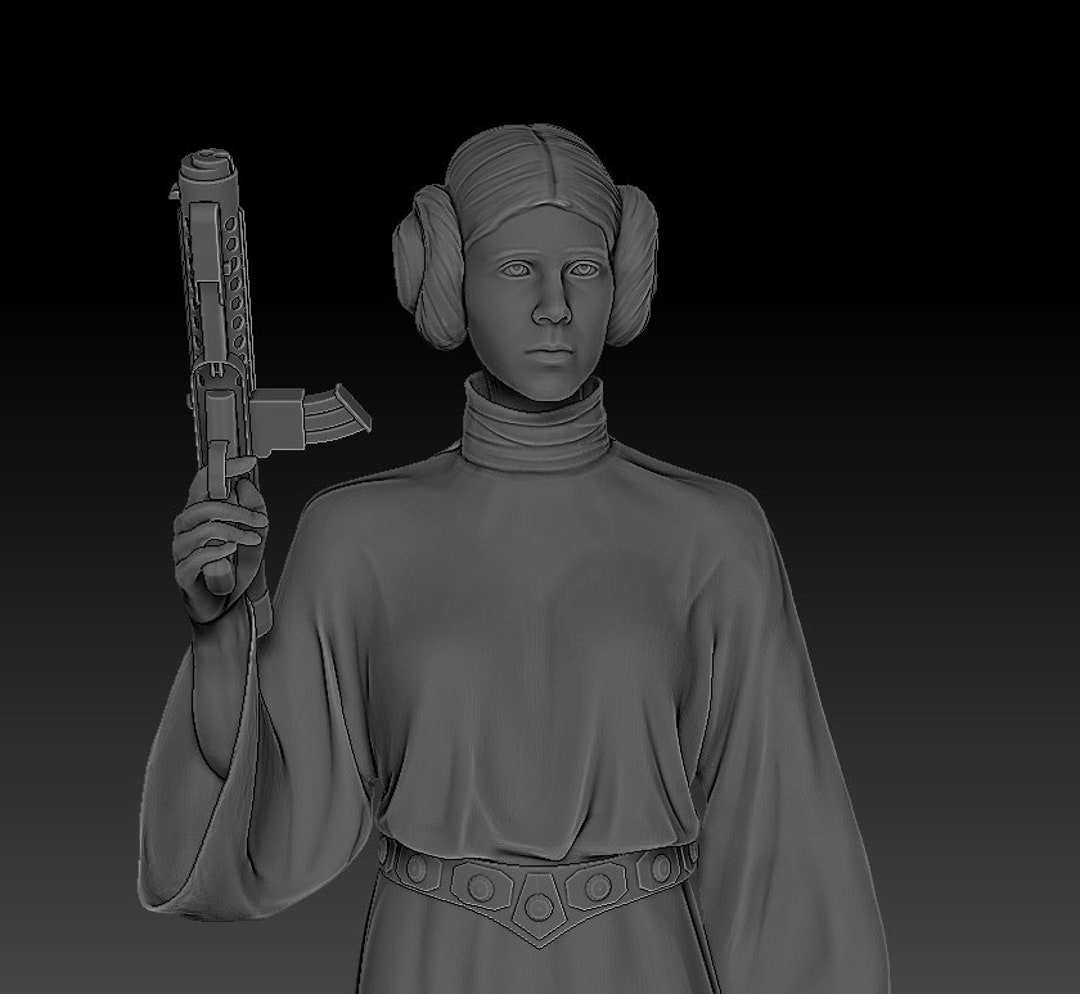 Digital ** Star Wars Princess Leia 1/72 (add-on for Bandai Model ...