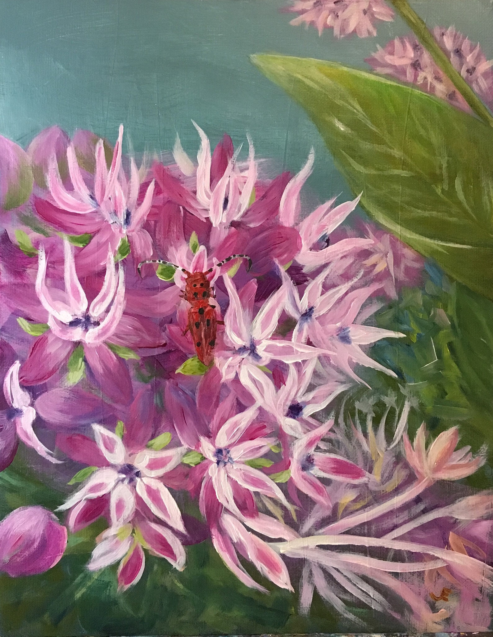 Milkweed Longhorn Beetle Monarch Flower Acrylic Painting 11 X 14 Inches ...