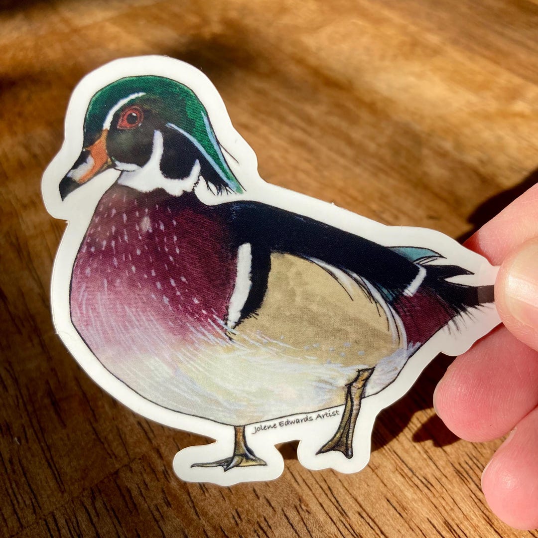 Wood Duck Vinyl Sticker Waterproof Laptop Sticker Water Bottle Sticker ...
